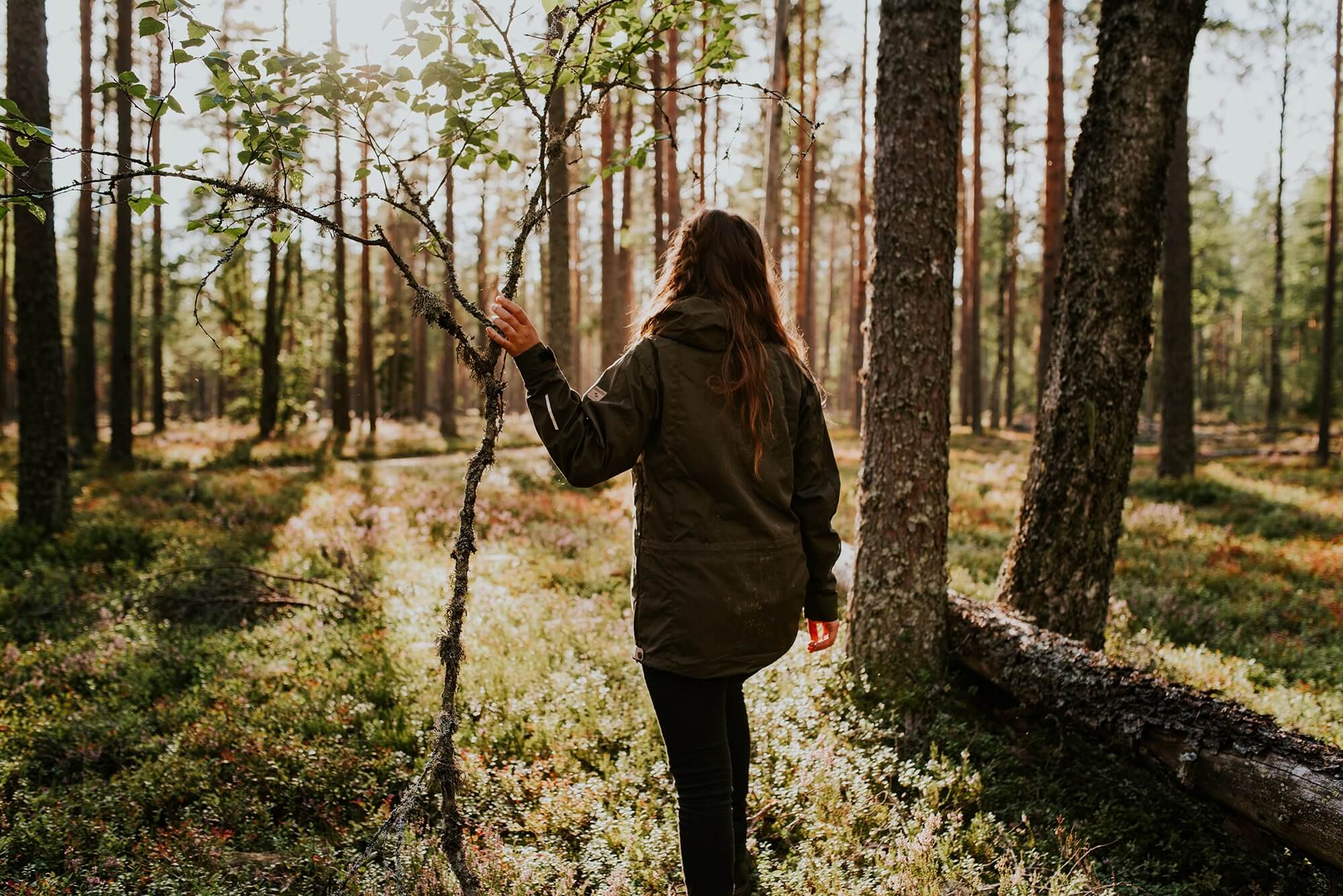 Ajankohtaista Pinenalta - Pinena